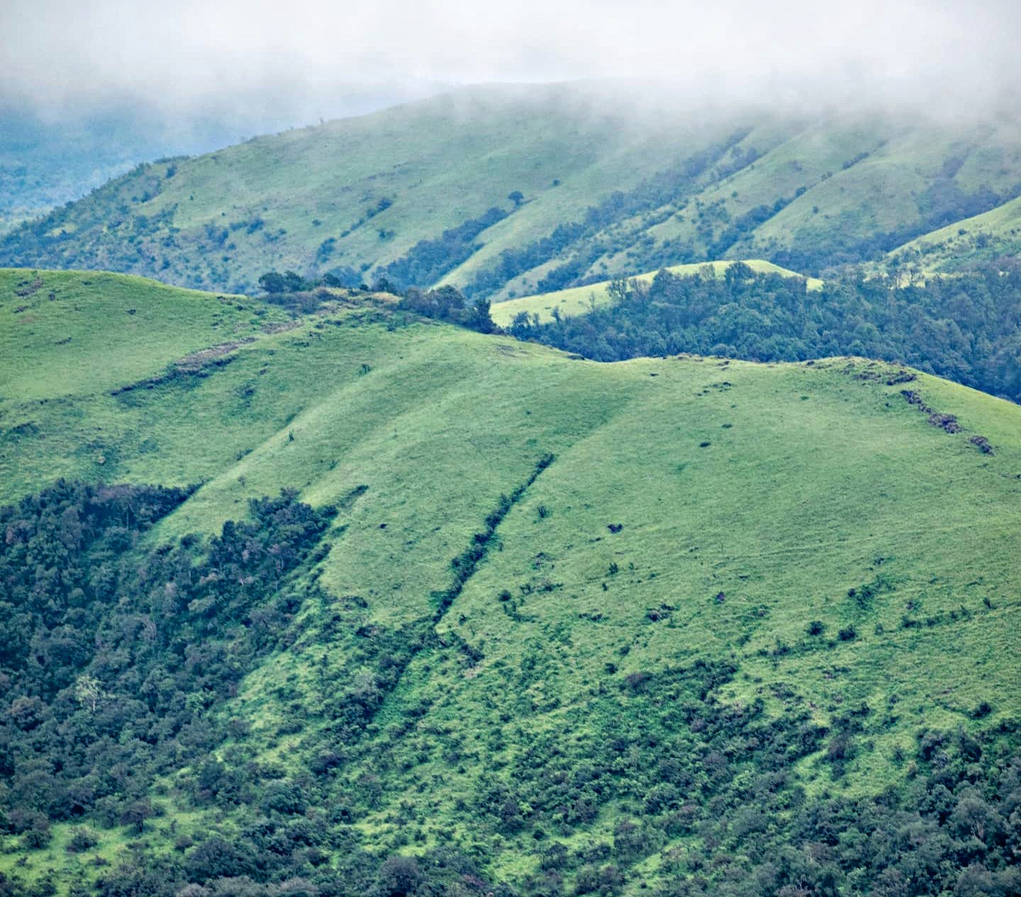 Western ghats information in english - Travel ghat