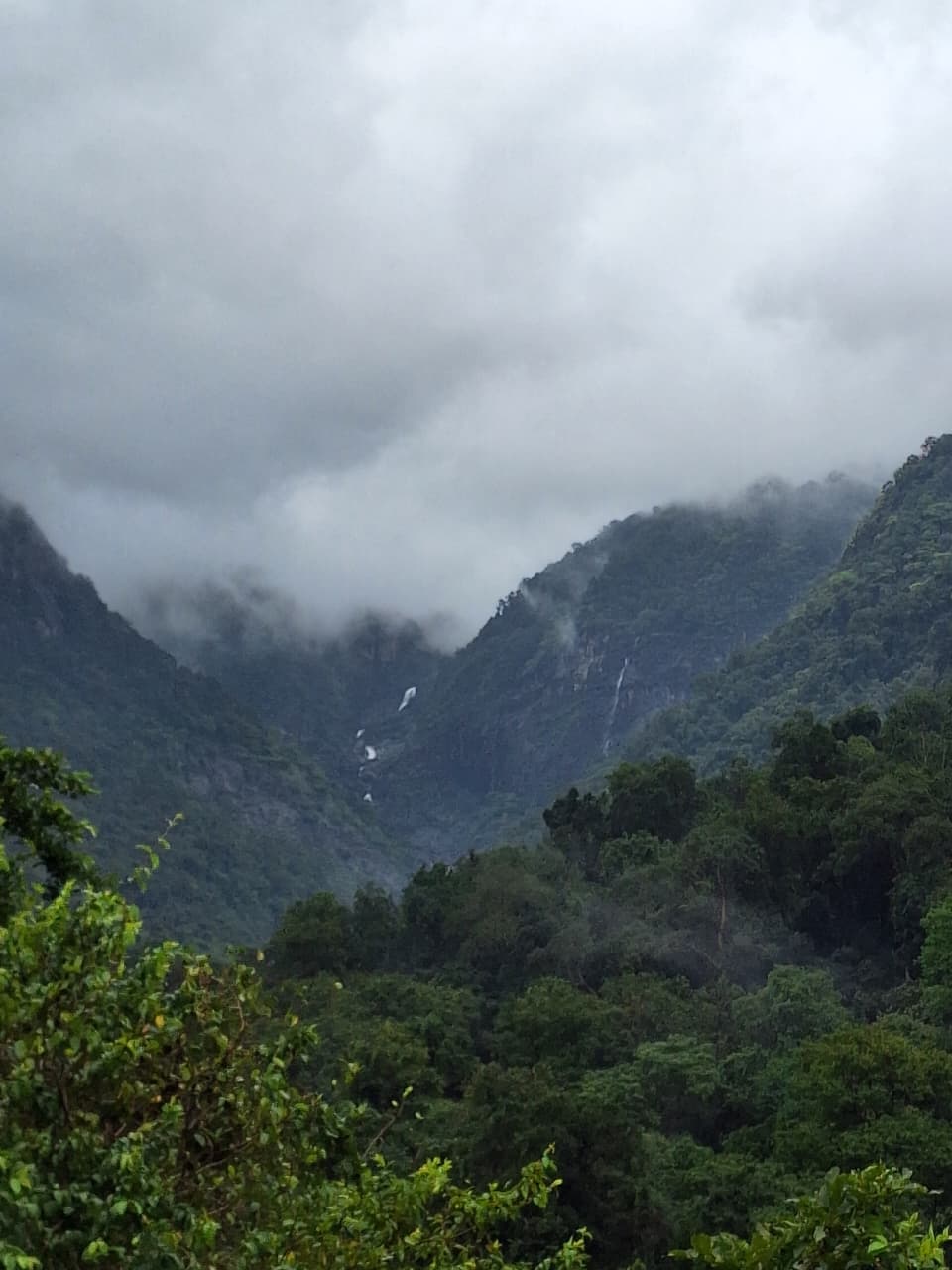 Kunchikal Falls - Shivamogga, First Highest Waterfall In India - Travel ...